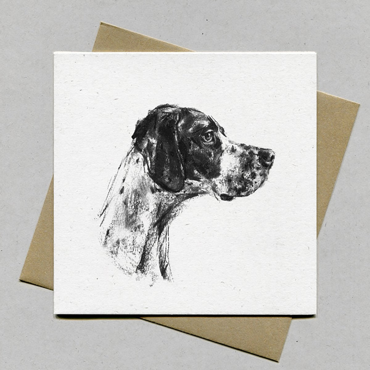 Pointer Head Study Card – Victoria Armstrong